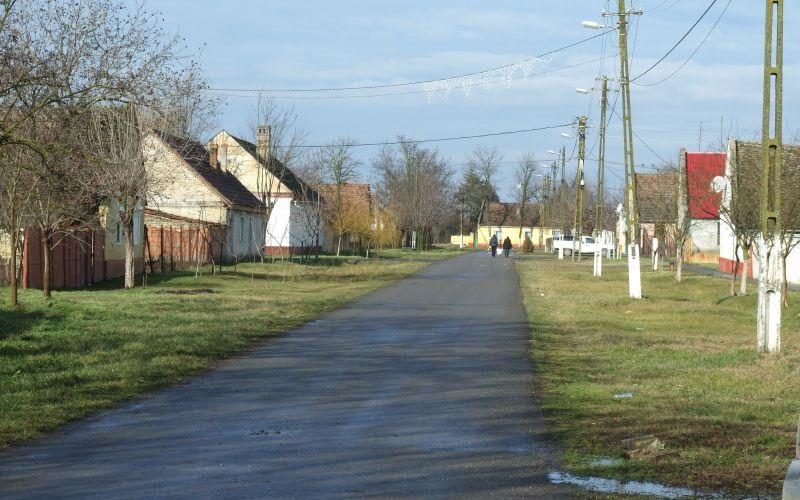 Poliţia, "apă de ploaie" în unele localităţi din Timiş