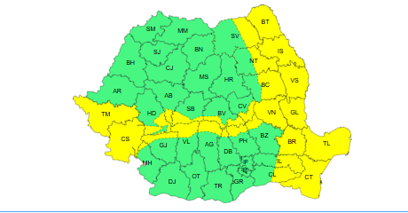 Cod galben de vânt în Banat