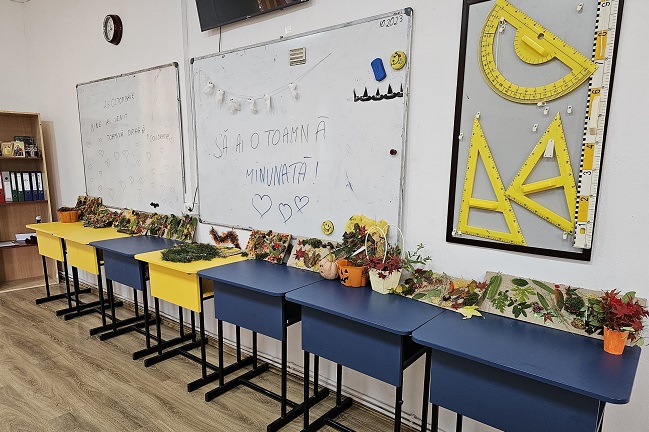 Opt unități de învățământ din Timiș, eligibile pentru proiectele ...